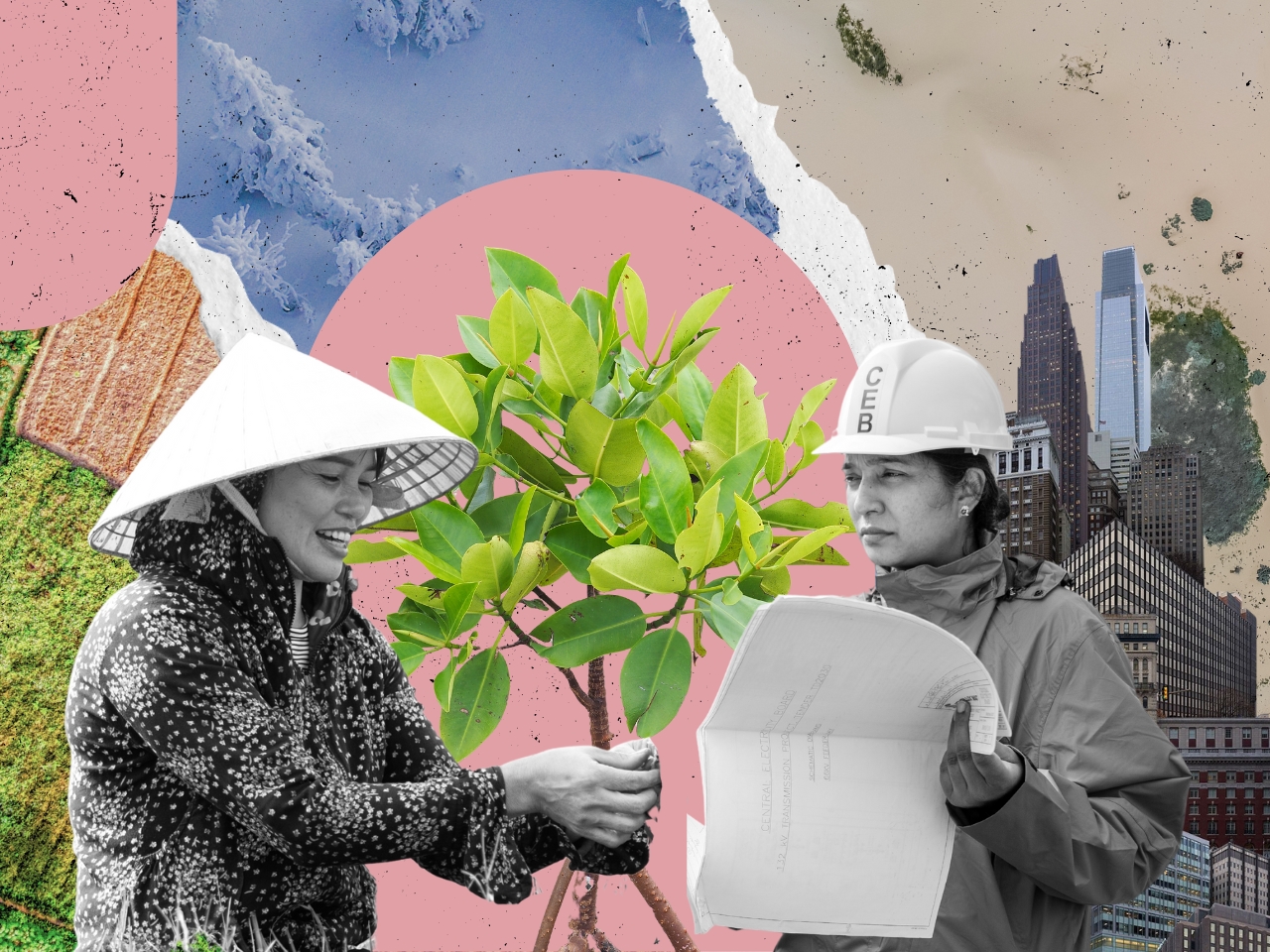 Qu’est-ce que l’adaptation au changement climatique et pourquoi est-elle cruciale ? | UNDP ...